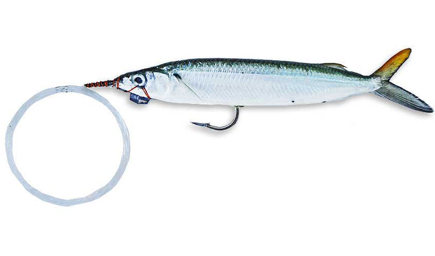 Super Select Rigged Ballyhoo With Lead – Baitmasters of South Florida